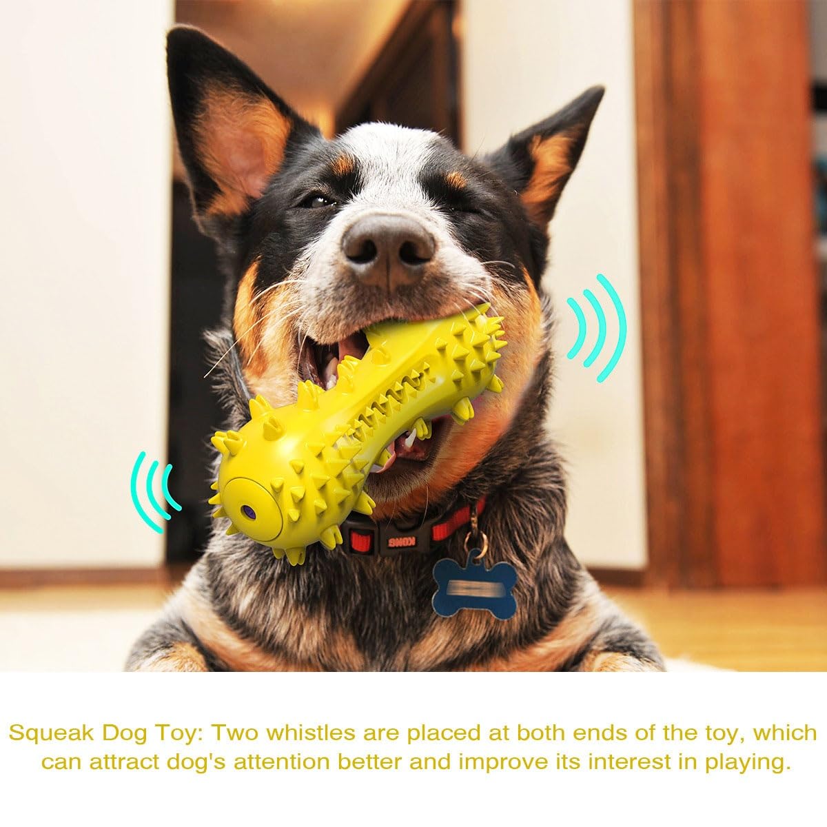 Durable Squeaky Dog Toys for Aggressive Chewers, Tough Rubber Dental Chew Dog Toys for Large Medium Small Breed (Color : Blue)