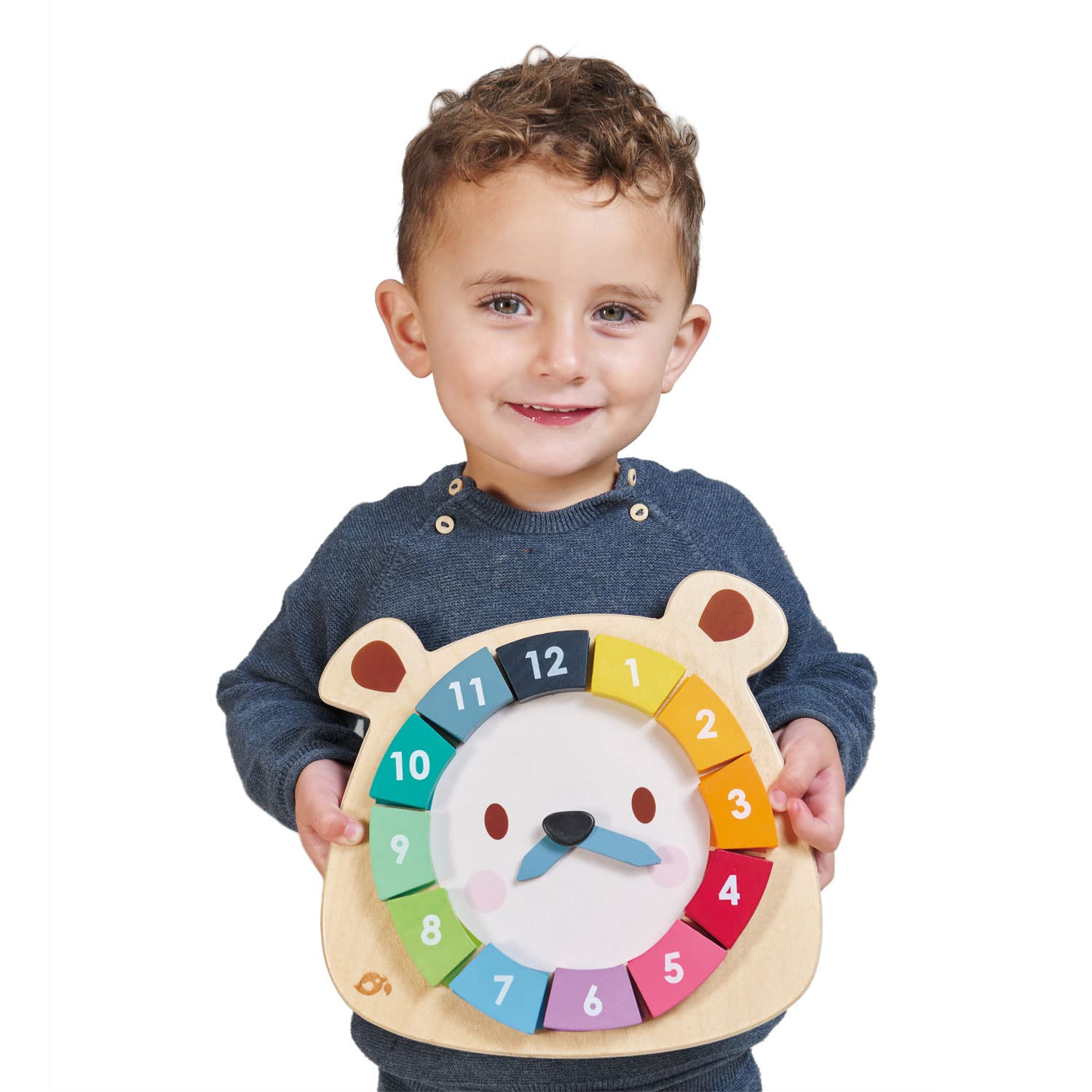 Tender Leaf Toys - 12 Pcs Bear Colors Clock, Early Learning Time, Educational Learning Clock Toy - Wooden Clock, Lovely Shapes - Cognitive Toy for Kids