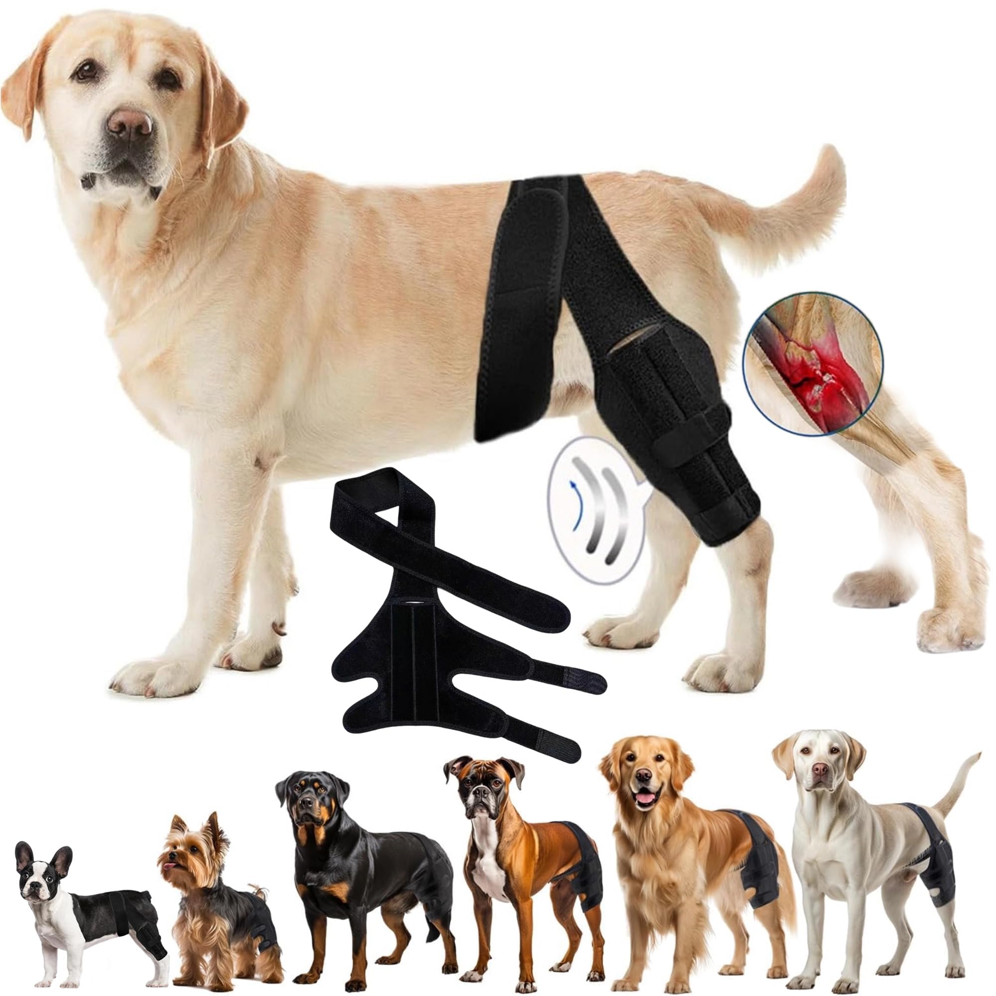 dreamynini Dog Knee Brace for Torn Acl Hind Leg, Dog Hip Support Brace for Cruciate Ligament Injury, Hip Dysplasia, Better Recovery with Adjustable Dog Leg Braces for Back Leg or Front Leg - Medium