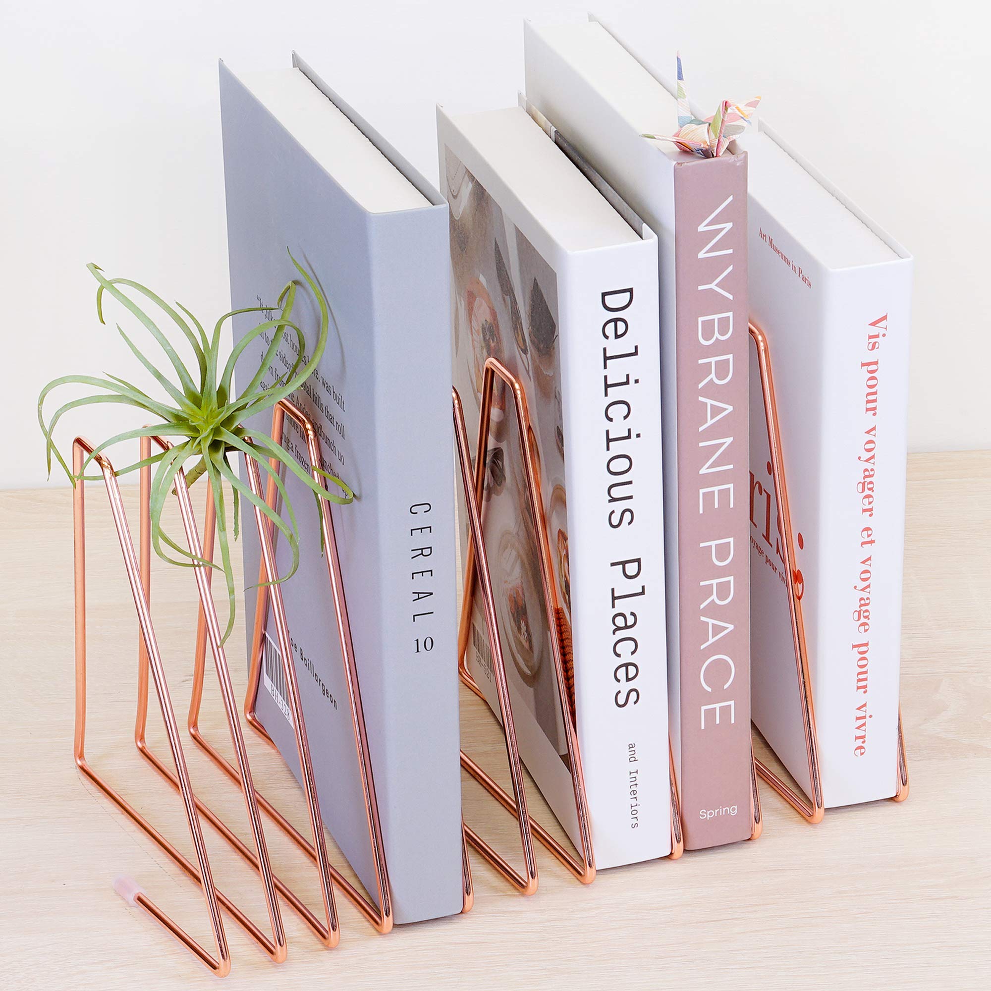 CAXXA 10 Slots Triangle Bookshelf, File Sorter, Magazine Holder, Document Holder, Rose Gold