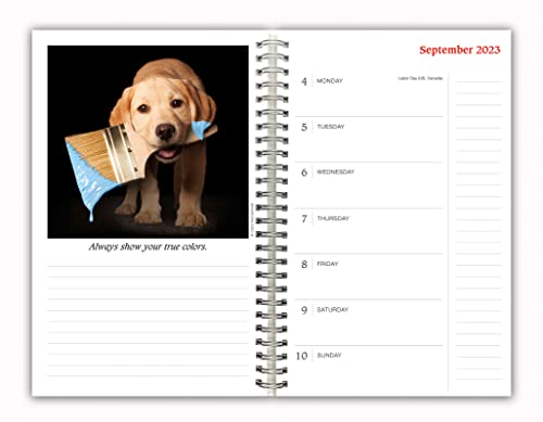 Dogma 2024 Weekly & Monthly Planner — A Dog's Guide to Life, 16-Month Engagement Calendar: September 2023 - December 2024, 6" x 9"