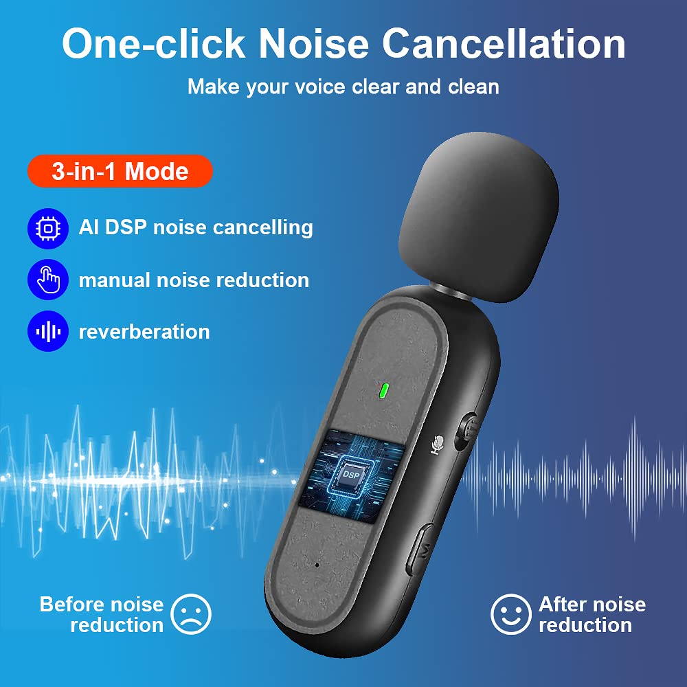 Dienmern Lavalier Microphone with Charging