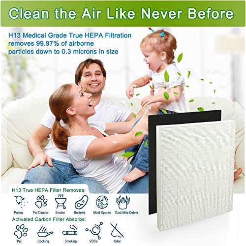 Flintar C545 True HEPA Replacement Filter S, Compatible with Winix C545 Air Purifier, Compares to Winix S Filter 1712-0096-00, 1 H13 Grade True HEPA + 4 Activated Carbon Filters