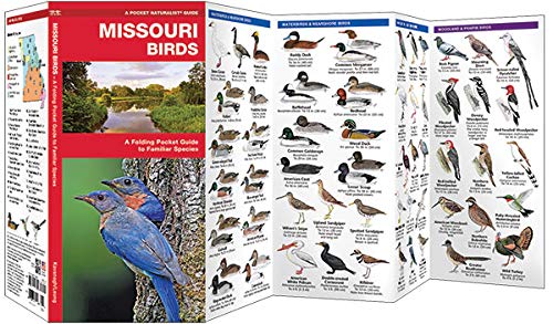 Missouri Birds: A Folding Pocket Guide to Familiar Species (Nature Observation North America)