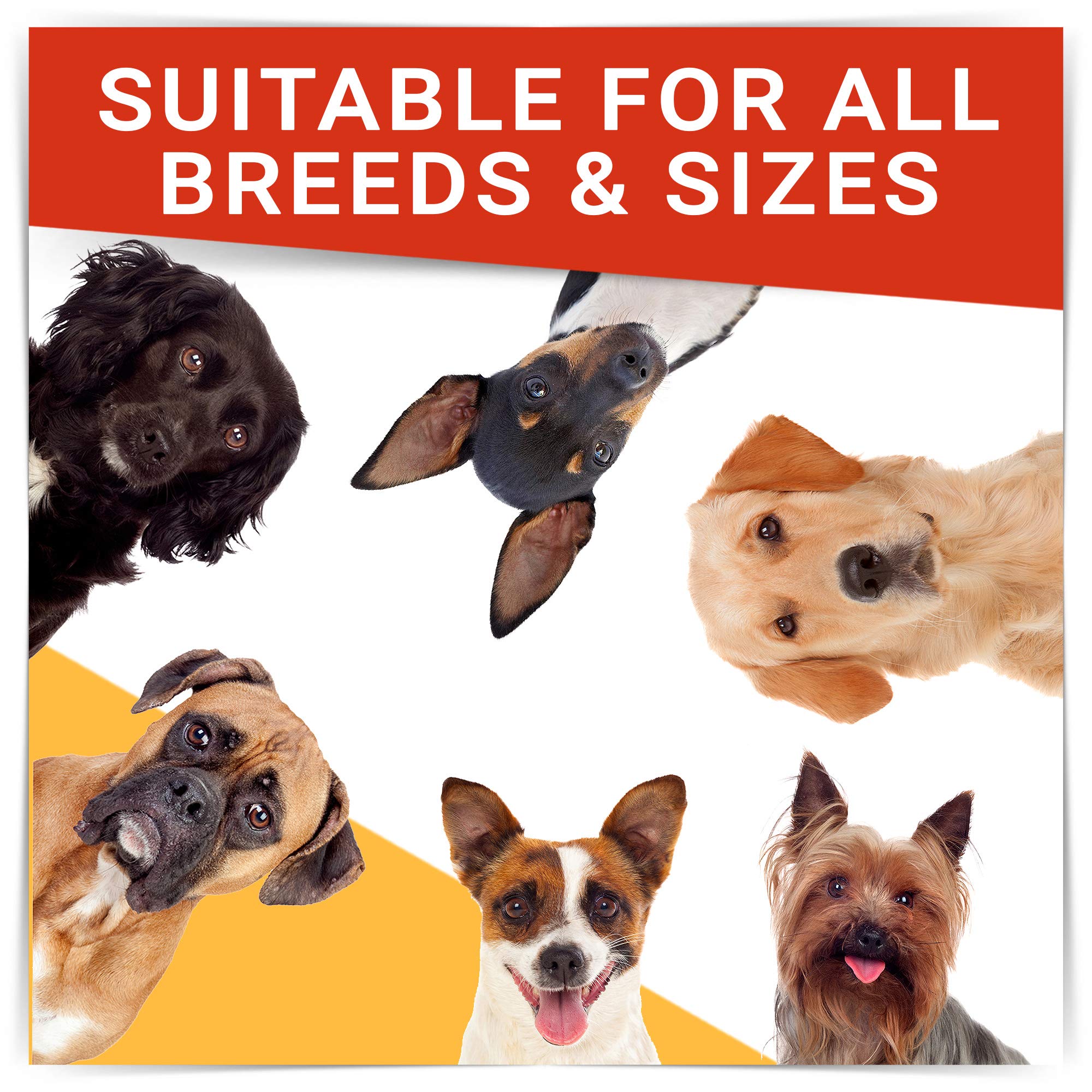 Chewable Flea and Tick Treats for Dogs - Made in USA - Flea and Tick Solution - Duck Flavor