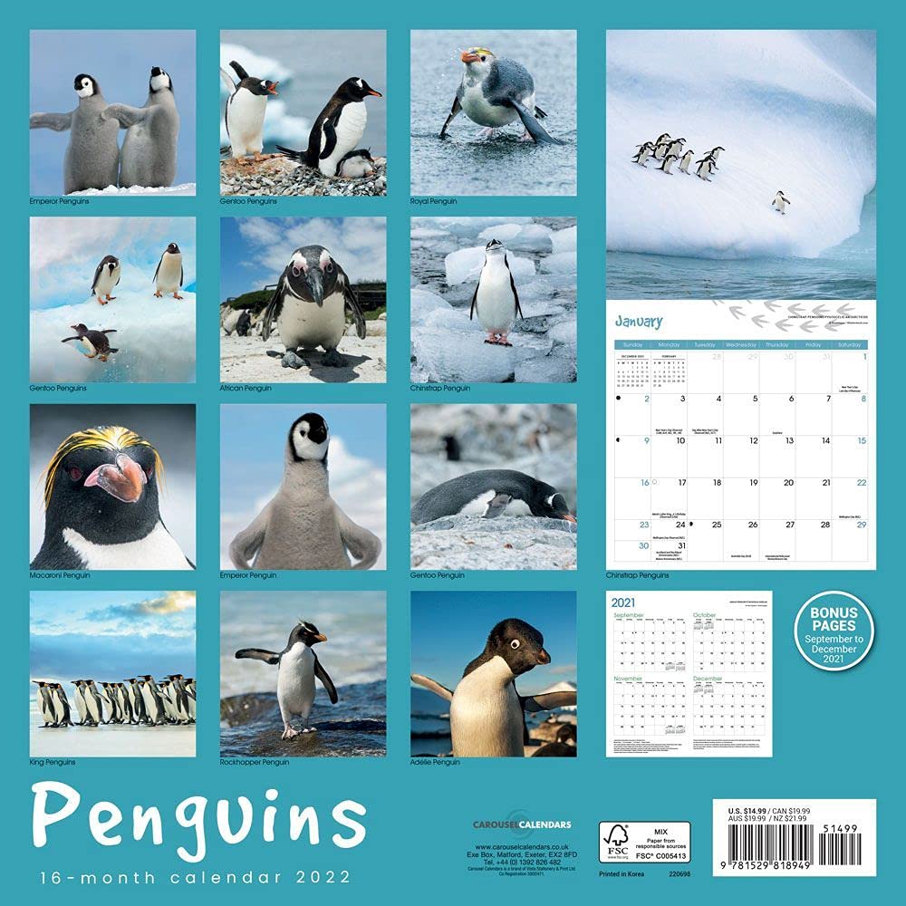 Carousel Calendars, Penguins 2022 Wall Calendar