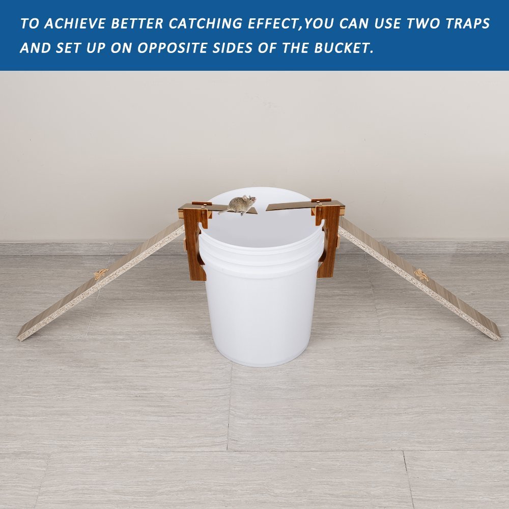 JXZH Plank Mouse Trap from Natural Wood - Humane Bucket Rat Trap - Walk The Plank Mouse Killer for Mice & Other Pests & Rodents