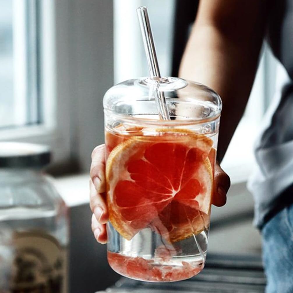 DOITOOL Glass Cups with Lid and Straw- Clear Aesthetic Cups Boba Cup- Glass Water Bottles Reusable Tumbler with Lid and Straw for Bubble Tea Juice Iced Coffee
