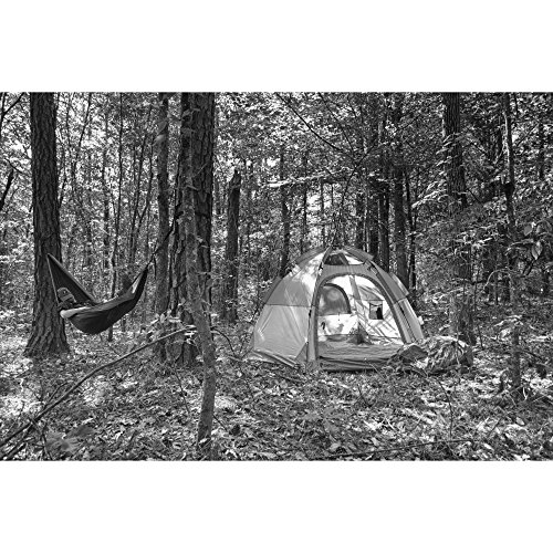 Catoma Raven Tent , Grey
