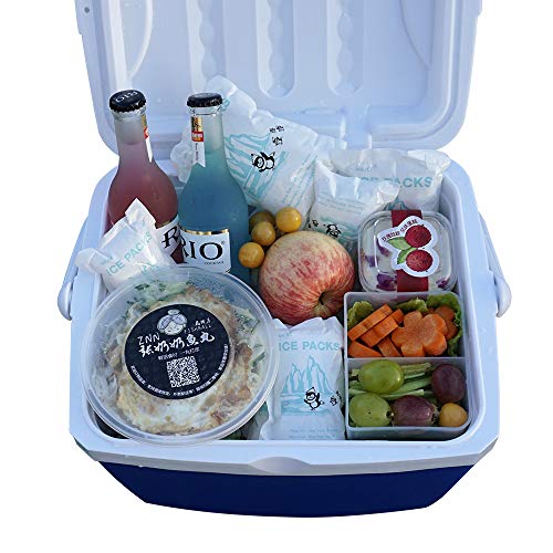 Shipping Ice Packs Reusable Small Dry Ice Pack Sheets 48 PCS, Ice Pack for Shipping Frozen Food Keep Food Fresh and Beverage Cold, Frozen Gel Packs Ice Brix for Coolers, 3.5 oz Capacity, 4.7" x 3.3"