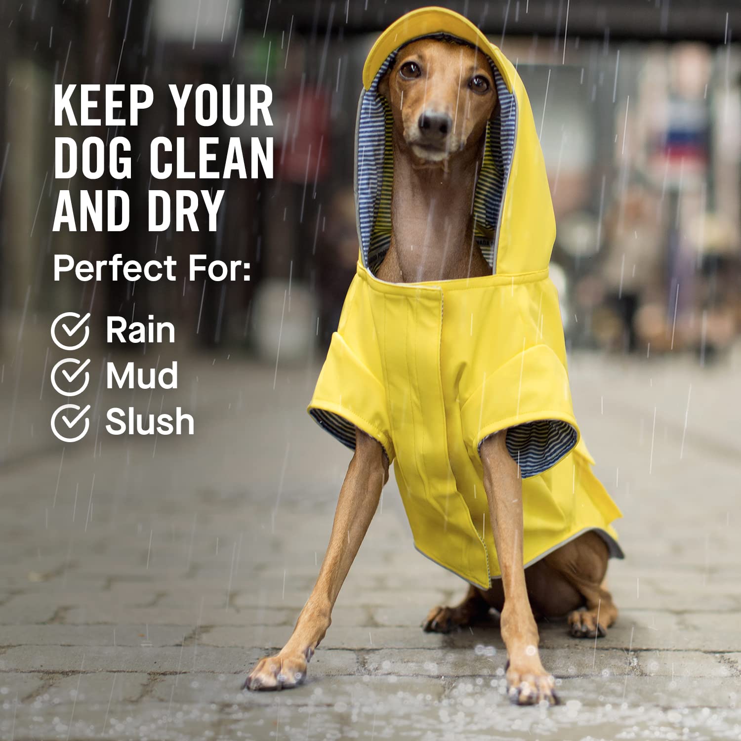 Canada Pooch Torrential Tracker Dog Rain Jacket - Easy On, Adjustable Full Body Coverage, Waterproof, Functional Pockets, Reflective Trim Rain Coat for Dogs, Great for Dogs