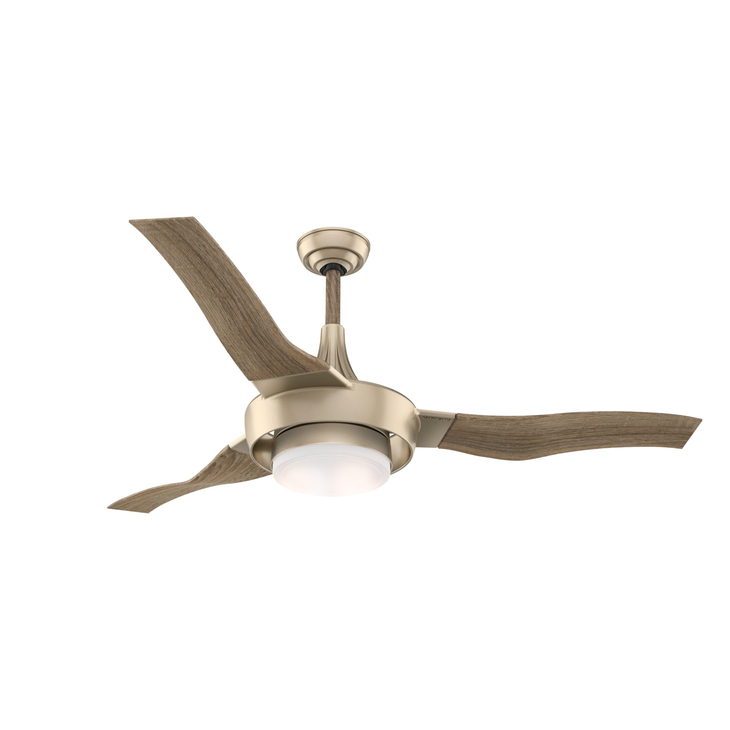 Casablanca Perseus Indoor/Outdoor Ceiling Fan with LED Light and Wall Control