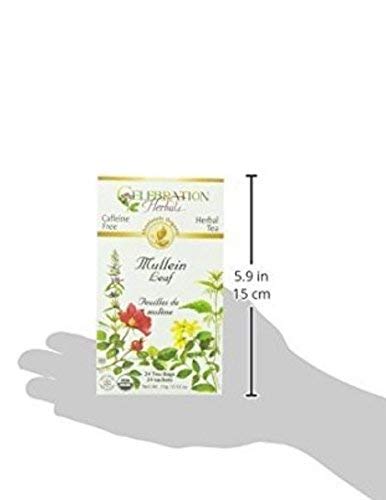Celebration Herbals Organic Mullein Leaf Tea Caffeine Free - 2 Pack (48 Bags in Total)