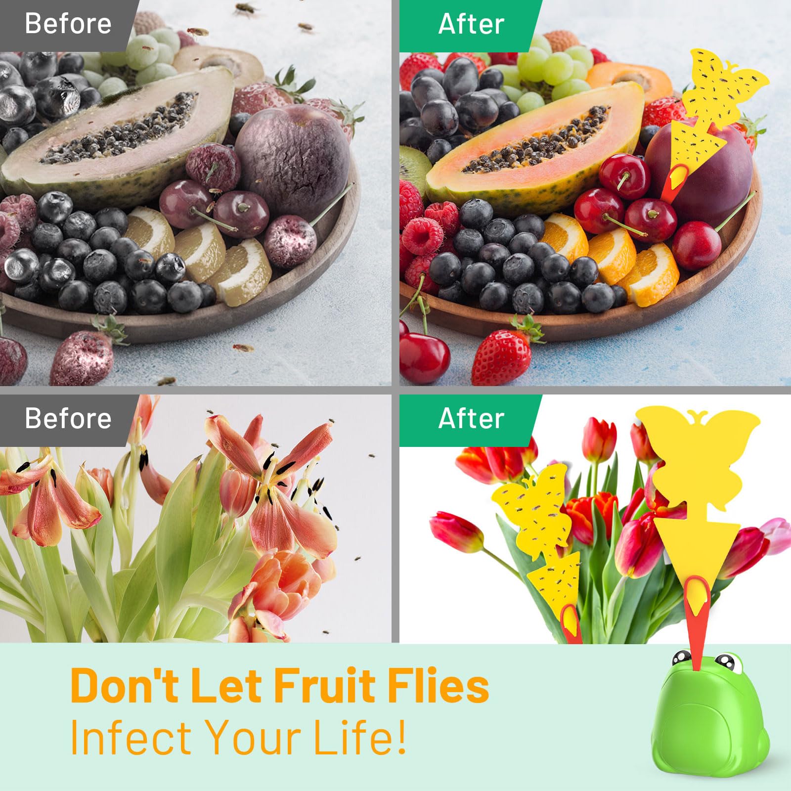 Fruit Fly Traps for Indoors and Outdoors:UWANTME Fruit Fly Killer with 12 Fruit Fly Sticky Traps, Easy to Use and Safe Food-Based Gnat Trap Reusable,2 Pack