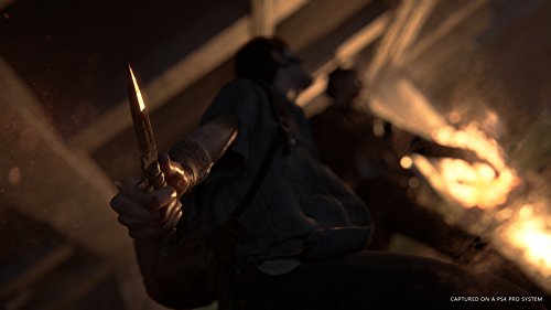 The Last of Us Part II Collector's Edition - Playstation 4 Collectors Edition