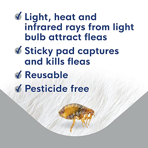 Enoz Trap-N-Kill Indoor Flea Trap with Lightbulb and Sticky Capture Pad, Nontoxic, Made in USA