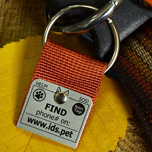 NaviTagi Pet ID Tag for Large and Extra Large Dogs. Personalized w/ID Number. Reliable Design, Stainless Steel Ring. 2 Phones Updatable Online, Name Safe (1 Tag - L)