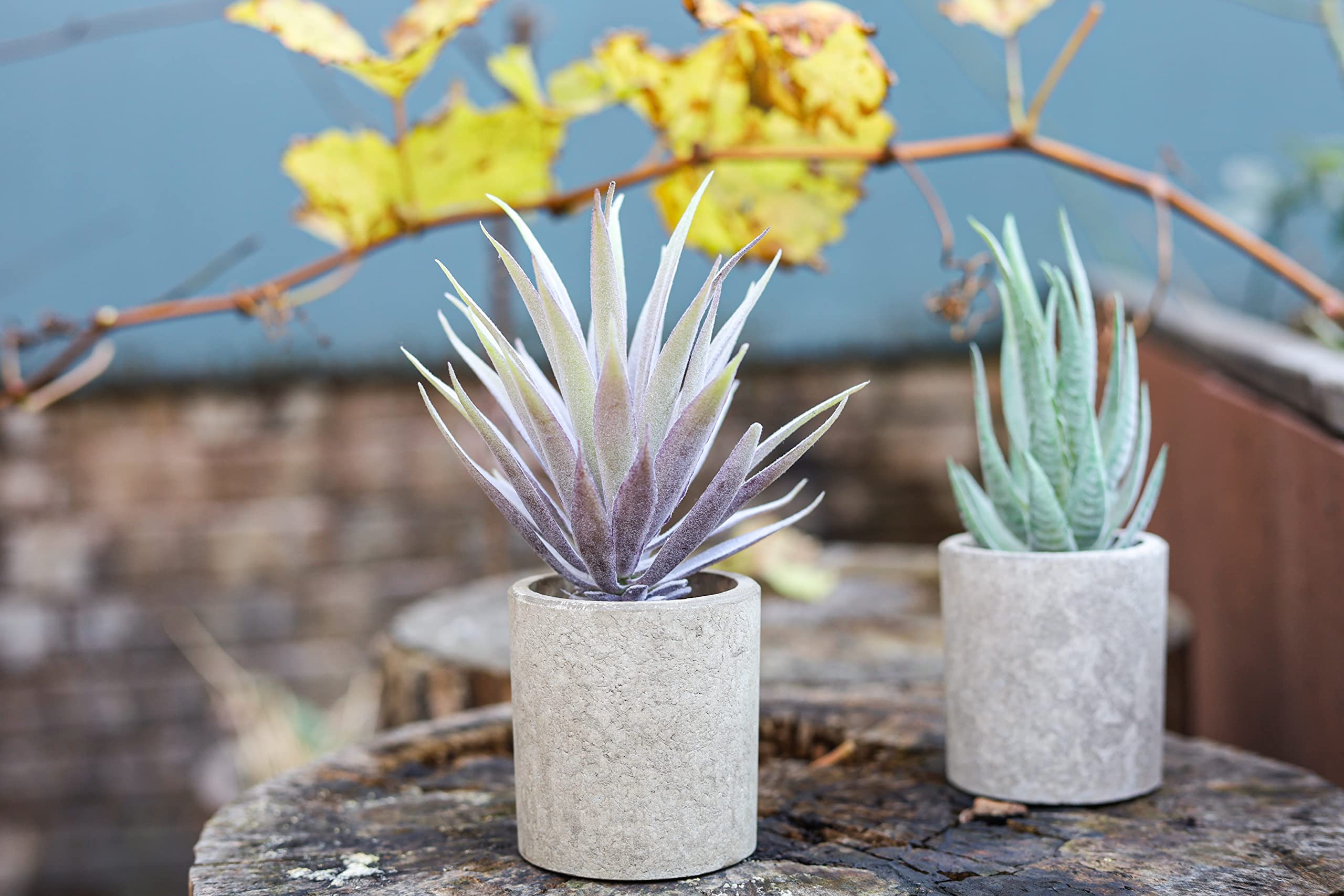 WUKOKU 4 PCS Small Fake Succulents Plants in Ceramic Pots Mini Artificial Potted Succulent Decoration for Desk, Shelves, Office and Home