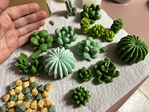 Navani Succulent Silicone Mold, Cactus Resin Mold, Candle Mold Silicone for DIY Handmade Soap, Candle, Cake Decoration - 9 Pcs