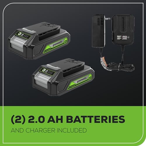 Greenworks 24V Brushless Cordless Drill Kit, 310 in./lbs, 18+1 Position Clutch, 1/2 '' Keyless Chuck, Variable Speed, (2)2Ah Batteries with 2A Charger, LED Light, 8pcs Drill Bits with Tool Bag