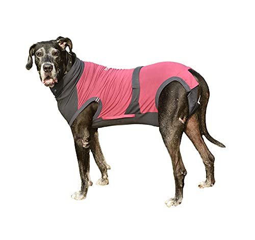 MAXX Recovery Suit for Dogs, E Collar Alternative, Post-Operative Onesie by Vet (Ruby Red Grey, M+)