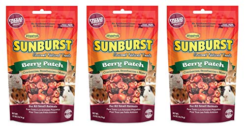 Higgins Sunburst Berry Patch, 0.52 Ounces, Freeze-Dried Fruit for All Small Animals (3 Pack - 0.52 Ounces)