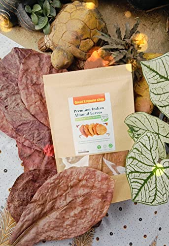 Pufa Great Emperor shop Premium Indian Almond Leaves Medium Catappa for Betta Fish & Shrimps|Best / Shrimp |Indian Almonds Naturally sourced Help Boost immunity 65g.