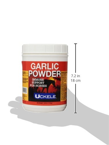 Uckele Garlic Powder Horse Supplement for Equine Immune Support - Horse Vitamin & Mineral Supplement - 2.5 pound (lb)