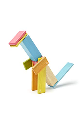 Tegu 14 Piece Magnetic Wooden Block Set in Tints
