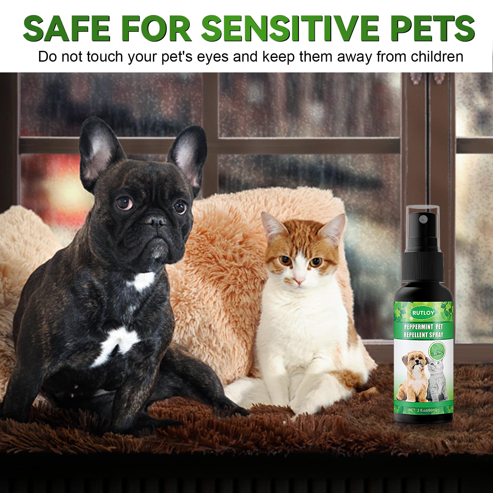 Flea and Mite Home Spray for Cats and Dogs, Essential flea and mite Treatment, Protects Your Home from Fleas and eliminates pet odours, Botanical Formula, for Indoor and Outdoor use (2oz)