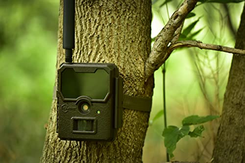 Covert Scouting Cameras WC20-V (Verizon Wireless) 4G LTE Cellular Game & Trail Camera for Hunting Deer and Wildlife โ 20mp High-Res Images & 1080p Videos Transmitted to Mobile App, CC0012