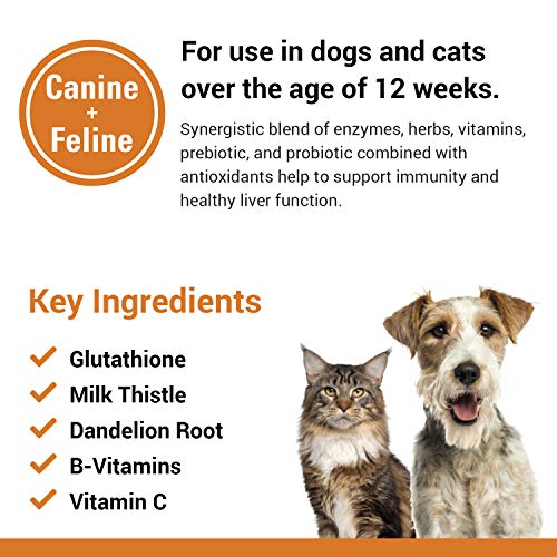 Vet Classics Liver Support Pet Health Supplement for Dogs, Cats β Liver Functions β B-Vitamins, Glutathione, Milk Thistle β Soft Tablets, Chews β 60 Soft Chews