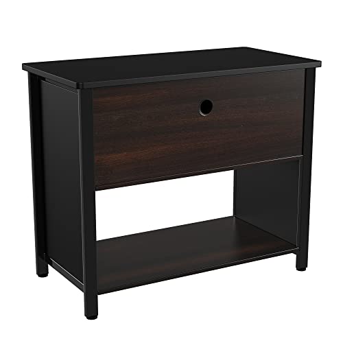 GDLF Metal Aquarium Stand with Cabinet for Fish Tank Accessories Storage, 40 Gallon, Turtle/ Reptile Terrariums