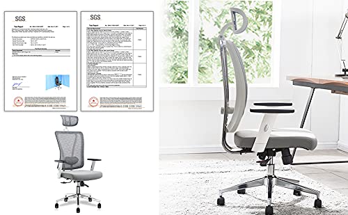 Cedric Office Chair,Breathable Mesh Computer Chair with Ergonomic Adjustable Lumbar Support, White Swivel Desk Chair with Adjustable Armrest and Headrest, Soft Cushion Seat