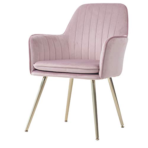 ceedment Modern Living Dining Room Accent Arm Chairs Club Guest with Gold Metal Legs (2, Pink)