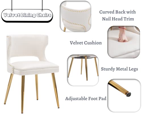 EALSON Velvet Dining Chairs Set of 2 Comfy Upholstered Dining Room Chairs with Gold Metal Legs Modern Accent Kitchen Chairs Armless Side Chairs for Living Room/Dining Room, Beige