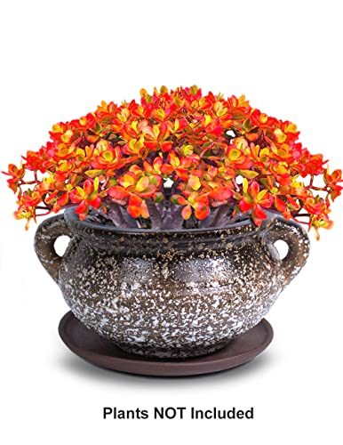 Dahlia Vintage Speckle Ceramic Succulent Planter/Plant Pot/Flower Pot/Bonsai Pot, C