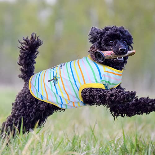 Phiyolin 2-Pack Dog Shirts Striped Stretch Dog T-Shirts for Small and Medium Dogs,Quick Dry Breathable Pet Clothes(M,Blue)