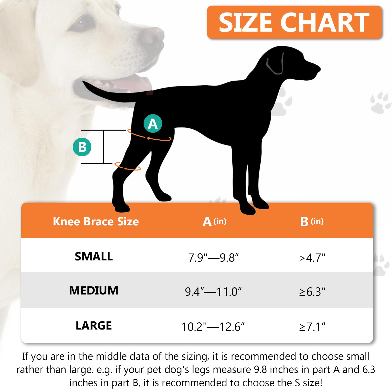 Dog Knee Brace Leg Braces with Side Stabilizers for Dogs Support for Torn ACL CCL Hind Leg, Knee Cap Dislocation, Cruciate Ligament Injuries, Patella Dislocation or Osteoarthritis (L)