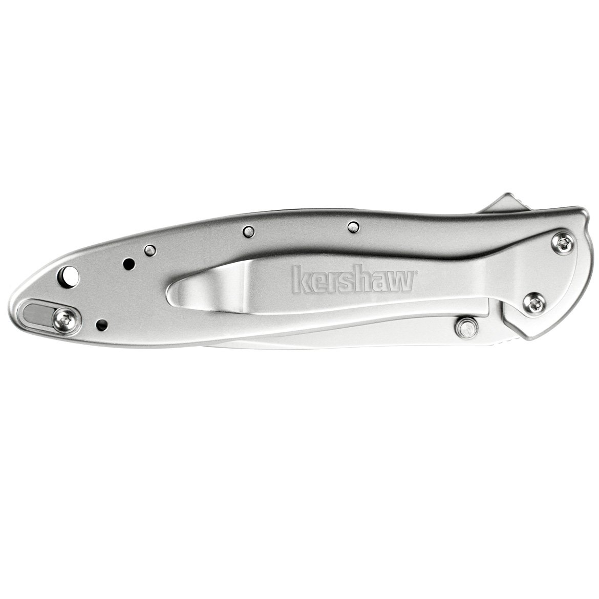 Kershaw Leek Composite Blade Folding Pocketknife, 3" D2 Steel and 14C28N Stainless Steel Blade, Assisted Opening Folding EDC