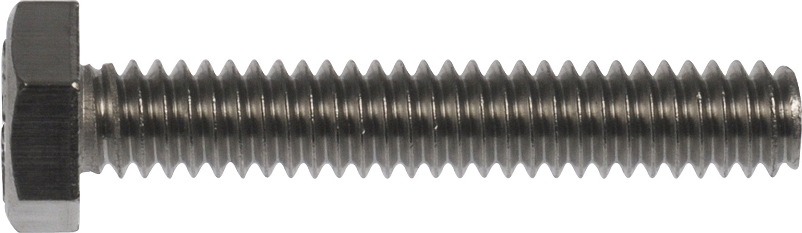 The Hillman Group 45239 5/16 X 6-Inch Full Thread Stainless Steel Hex Bolts, 5-Pack
