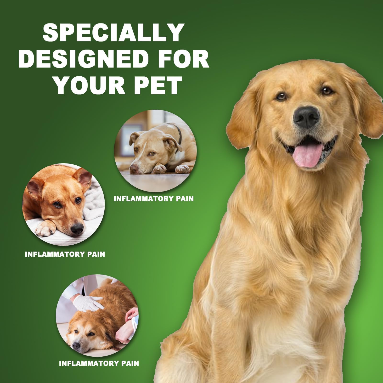 Dog UTI Treatment Cat Urinary Tract Infection Treatment Drops Cat UTI Remedy - Natural Formula Rich in Cranberry and Vitamin C