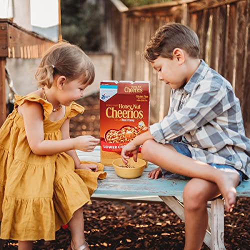 Cheerios Honey Nut Cheerios Heart Healthy Breakfast Cereal, Gluten Free Cereal With Whole Grain Oats, Large Size, 15.4 oz