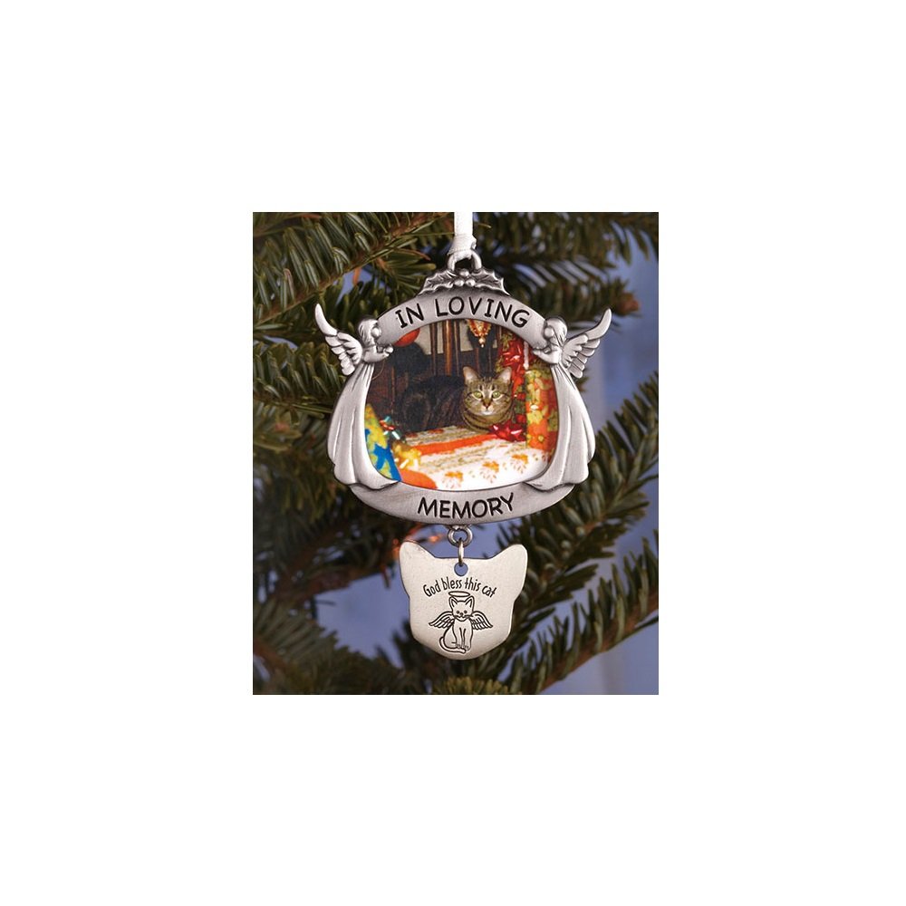 Cathedral Art (Abbey & CA Gift in Loving Memory Angel Cat Frame Plaque with Hanger, 4-Inch High, Co736