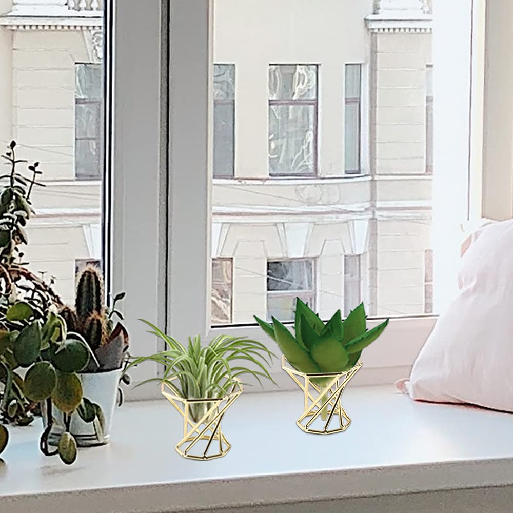 Bxxwin Air Plant Stand Container 4 Pcs Geometric Air Plant Container Airplant Display Racks for Office Desk(Gold)