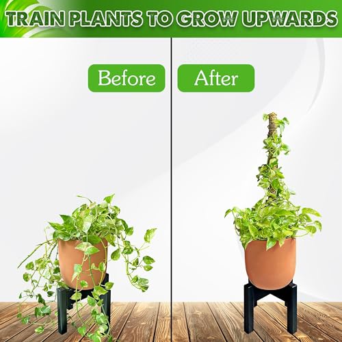 DUSPRO Forest Moss Pole, Small Moss Poles for Climbing Plants Monstera, Non-Bendable Shagnum Moss Stick for Monstera Plant Support Perfect for Small Mini Plant Growth 2 Pcs 17"