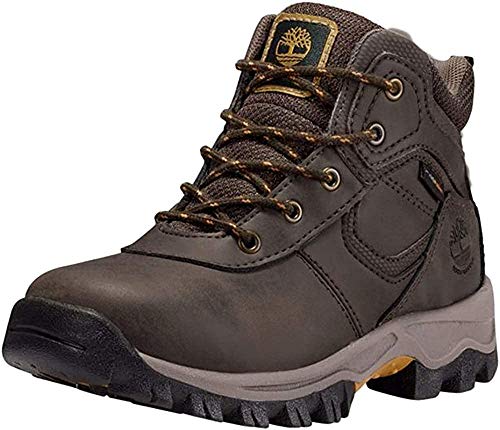 Timberland baby boys Youth Mt. Maddsen Timberdry Waterproof Hiking Boot, Dk Brown Full Grain, 3 Little Kid US