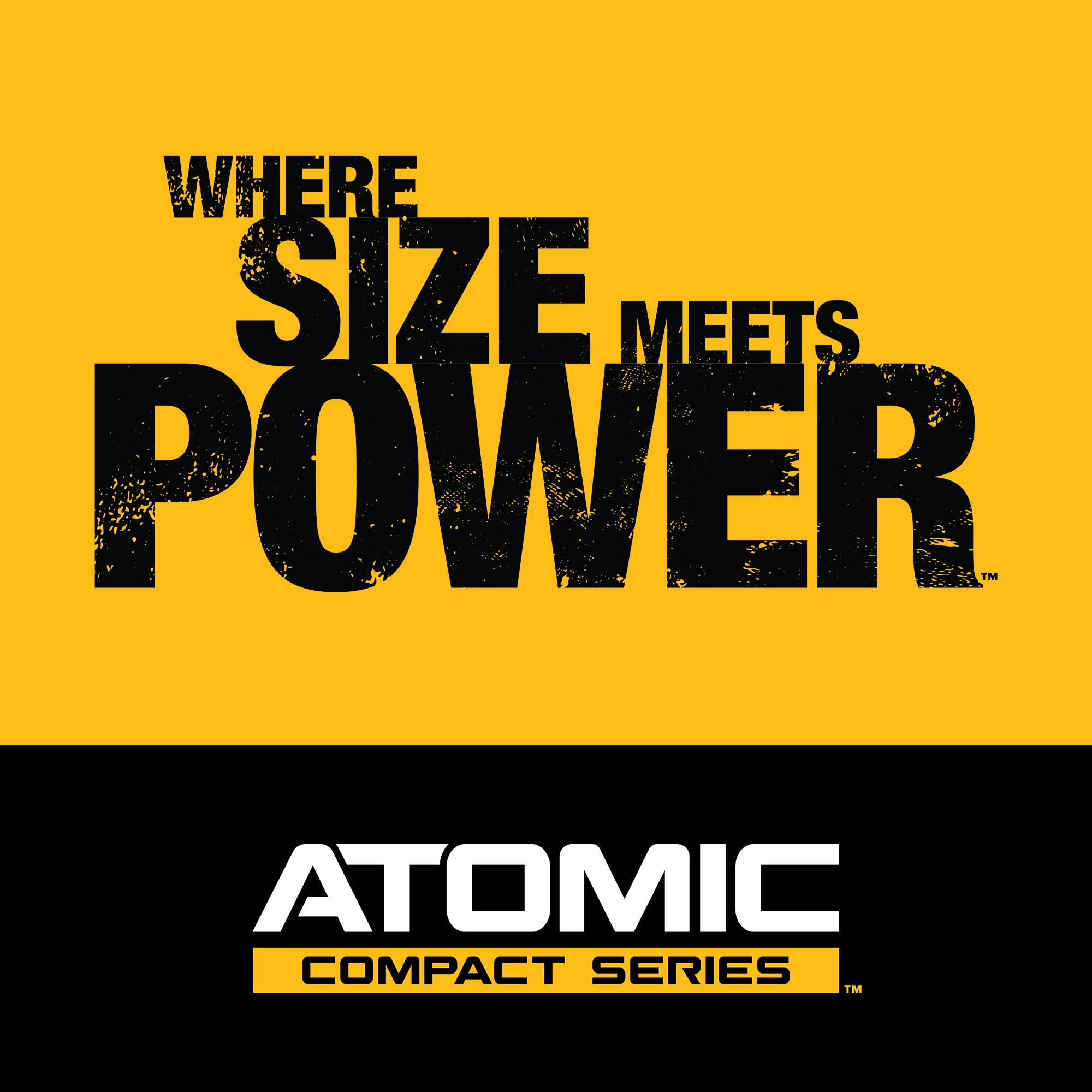 DEWALT ATOMIC 20V MAX* Brushless 1/2 in. Ratchet Kit (DCF512D1)