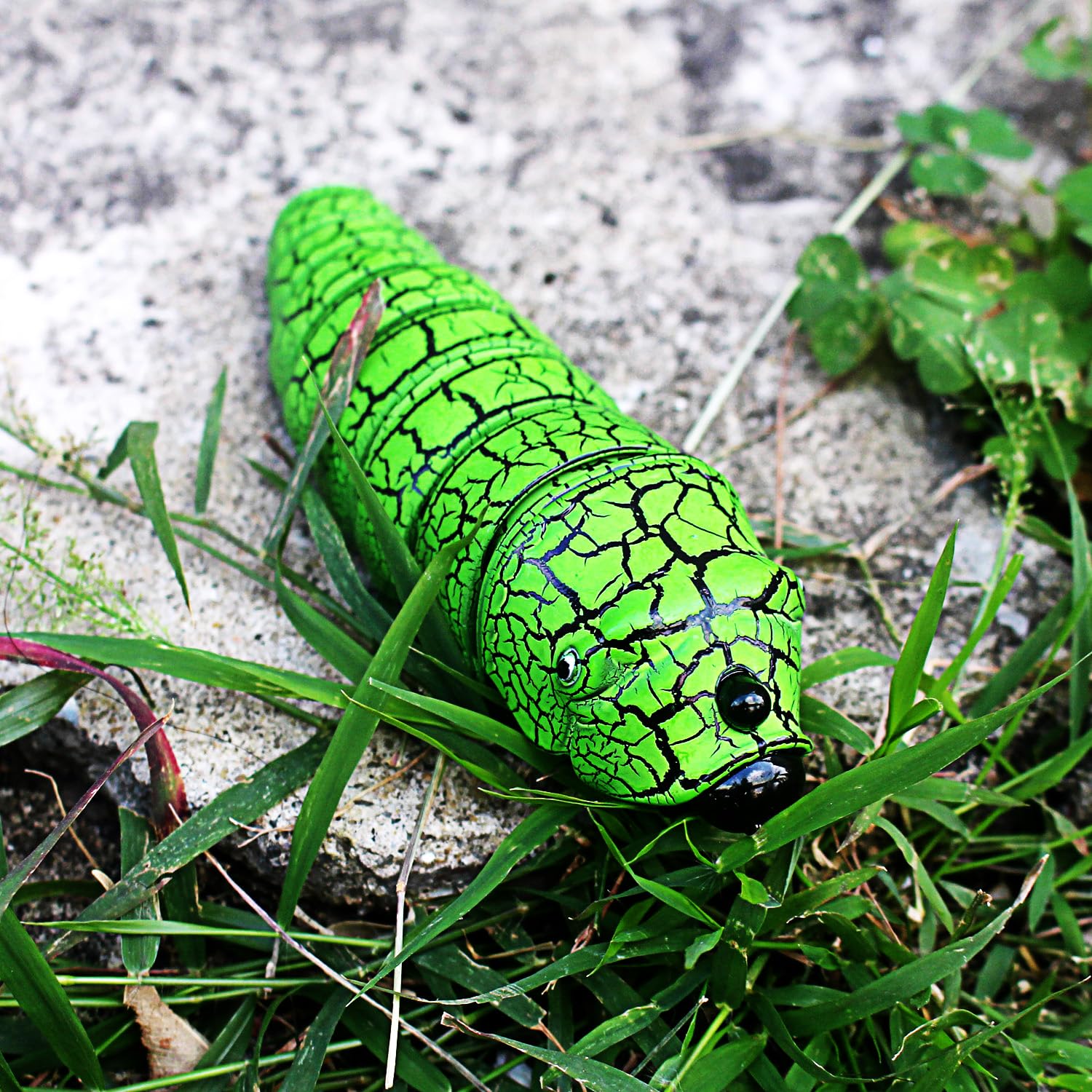 Tipmant RC Bug Remote Control Worm Realistic Caterpillar Inchworm Electronic Animal Toys Fake Insect Car Vehicle Kids Birthday Gifts (Green)