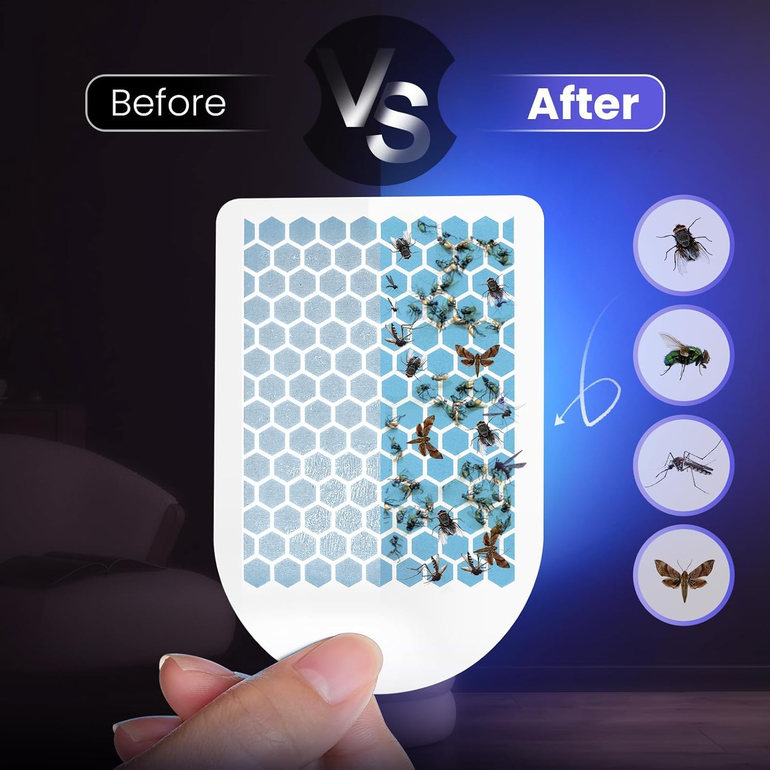 Fly Trap Indoor (2 Device + 10 Glue Cards), Plug-in Flying Insect Trap for Mosquito, Flies, Fruit Flies, Moths, Gnats, Gnat Trap for House Indoor, White
